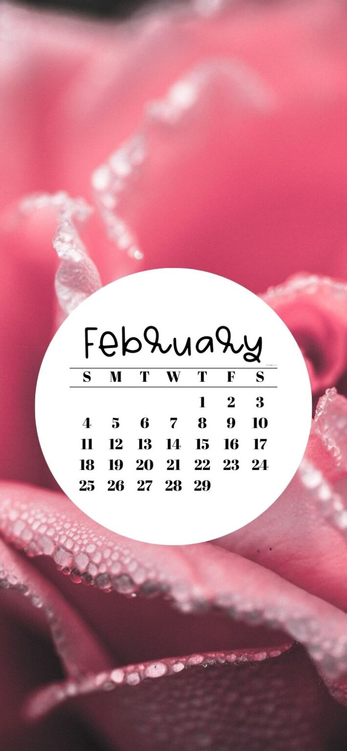 February 2024 Calendar Wallpaper - 51 Cute Backgrounds for Phone