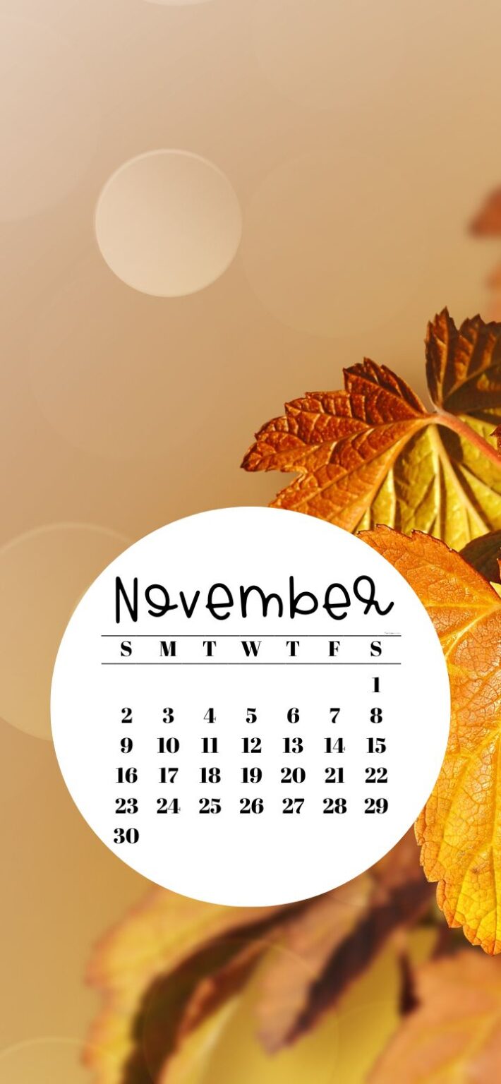 November 2025 Calendar Wallpaper - 44 Cute iPhone Backgrounds