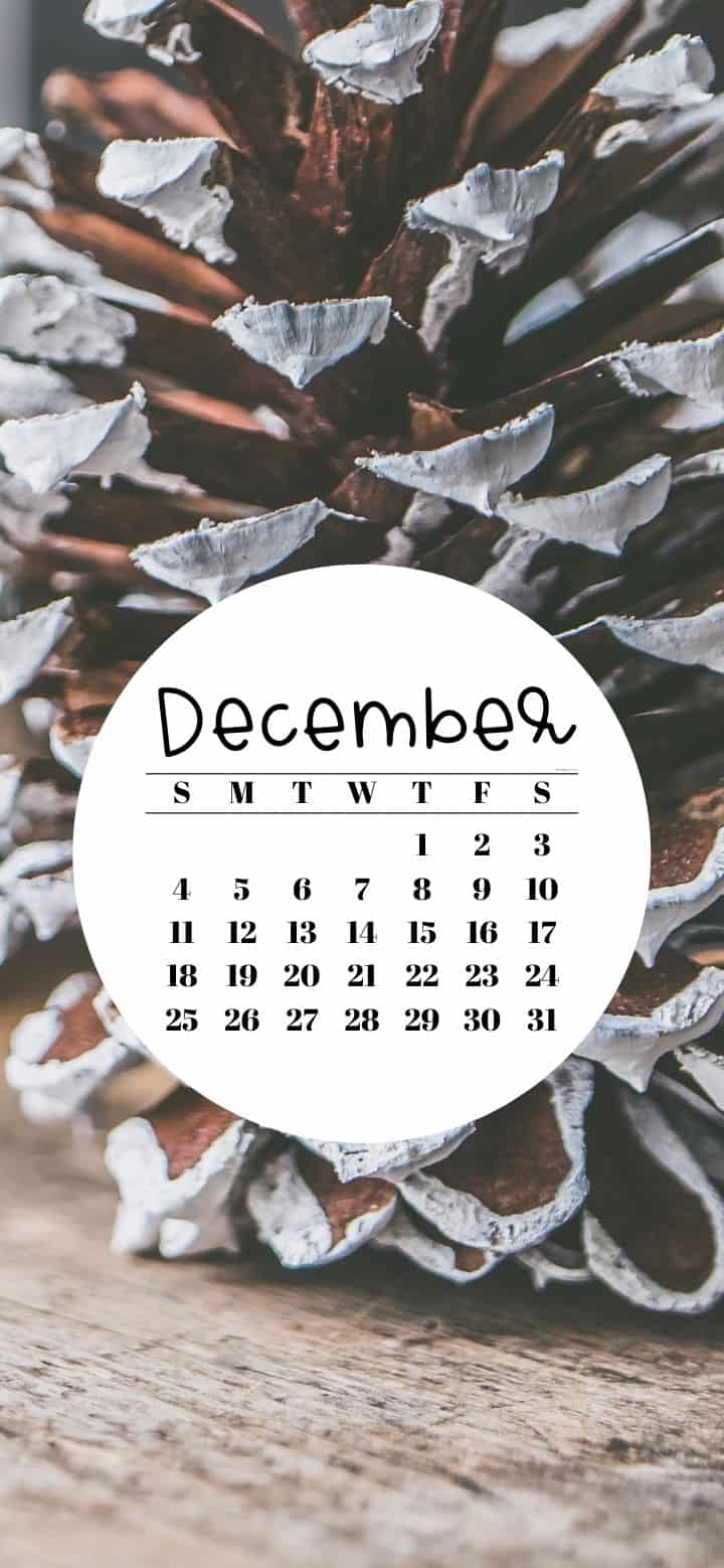 December 2022 Calendar Wallpaper - 48 Cute iPhone Backgrounds