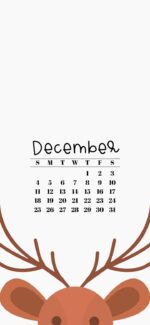 December 2022 Calendar Wallpaper - 48 Cute iPhone Backgrounds