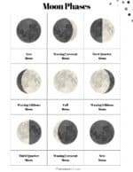 13 Free Printable Moon Phases Worksheets - the 8 Phases of the Moon