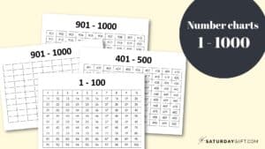 Thousands Chart Printable - Free Numbers 1-1000 Worksheets | SaturdayGift